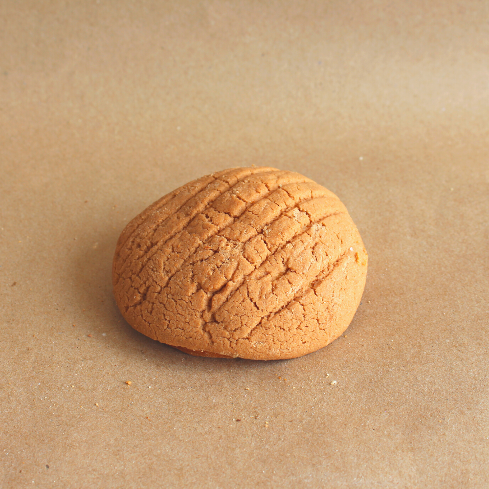 Concha de chocolate – www.brotrecienhorneado.com.mx